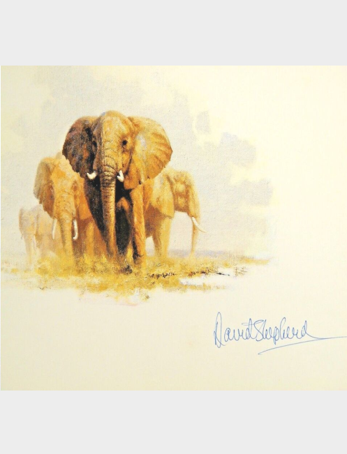 David Shepherd - The Man and His Paintings - Zeylanica Books